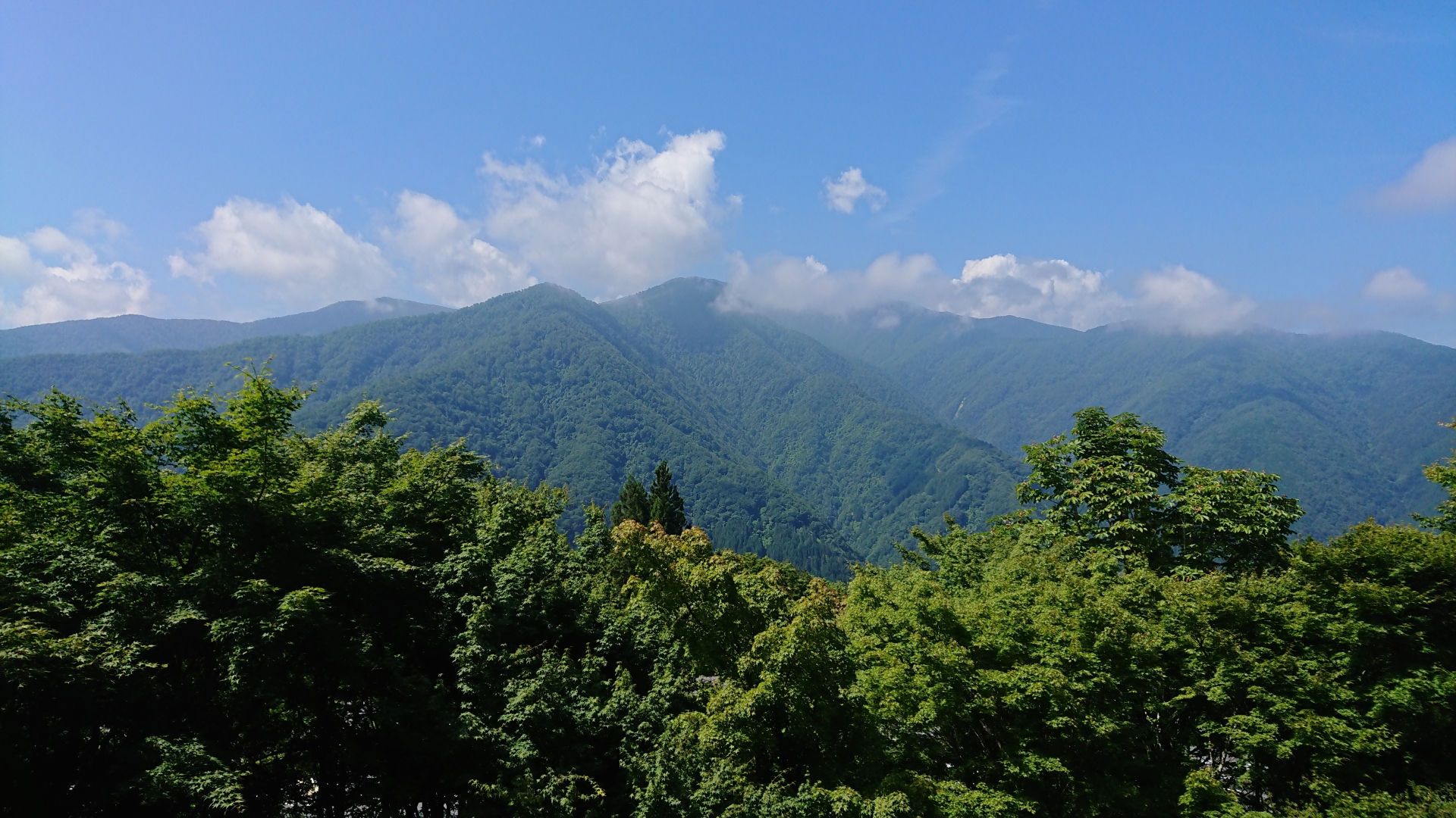 The story of Demon Slayer takes place in Tokyo. | Kimetsu Cafe