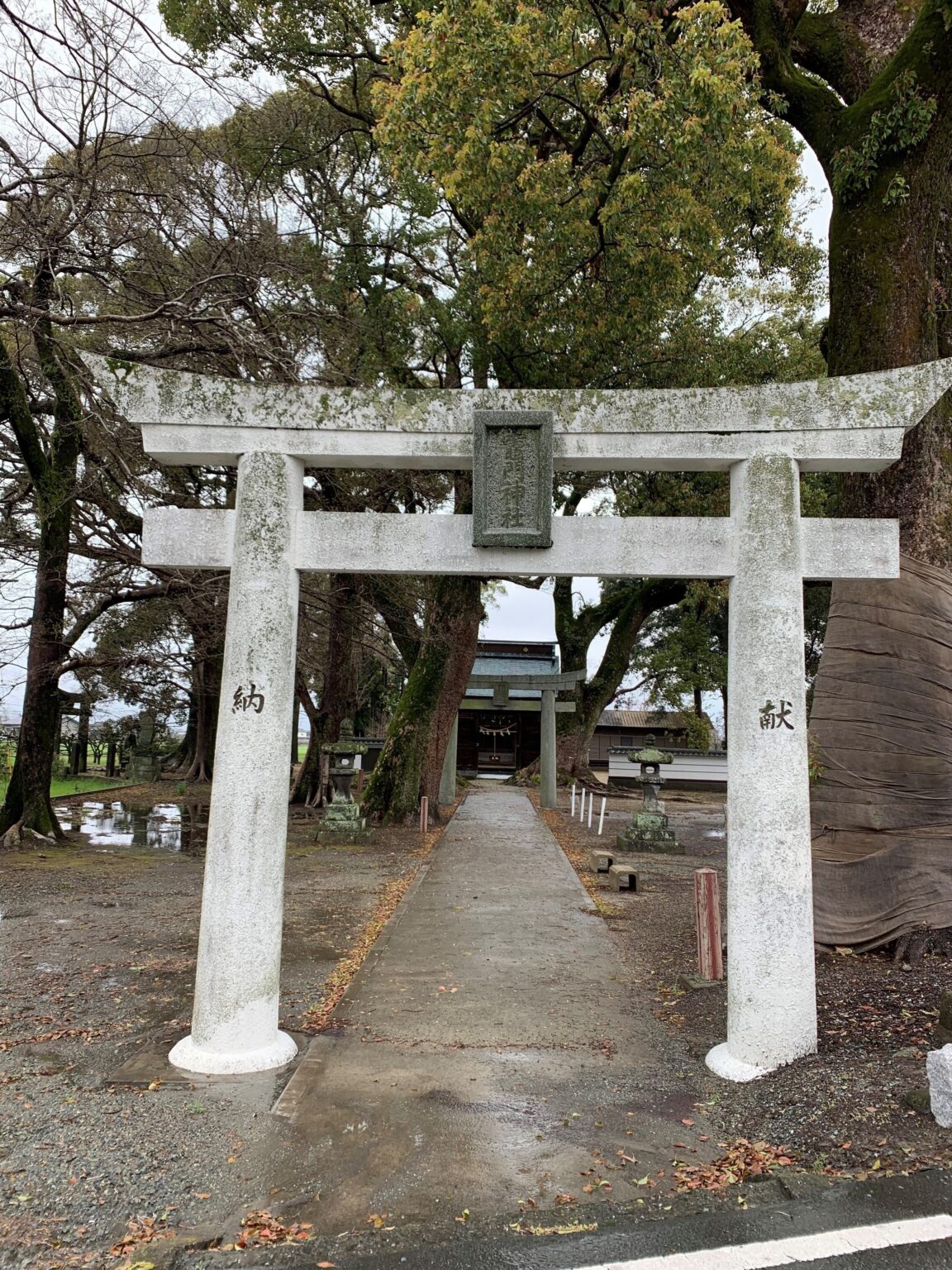 Visit Demon Slayer location: Shinto Shrines and Buddhist Temples ...