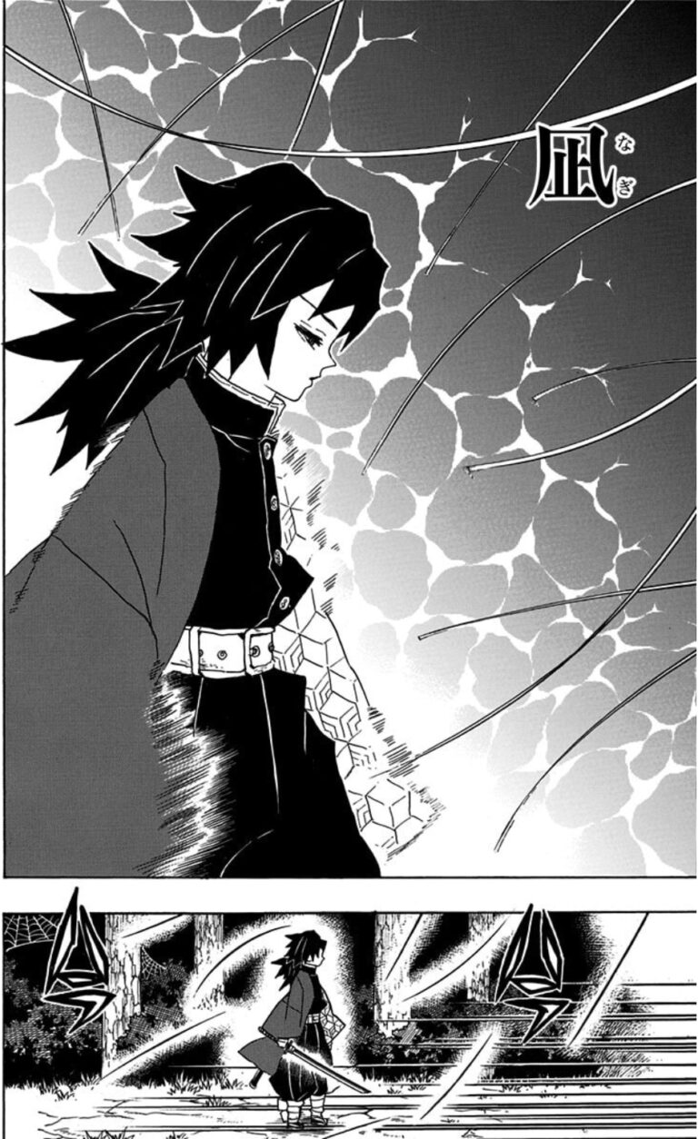 【The Water Hashira Giyu Tomioka: The reason for half-and-half Haori ...